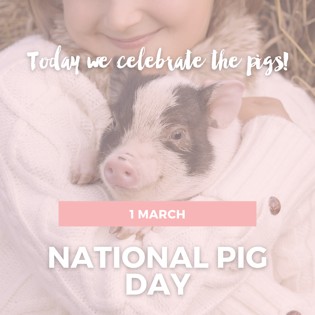 It’s National Pig Day – Pigs & Pugs Project